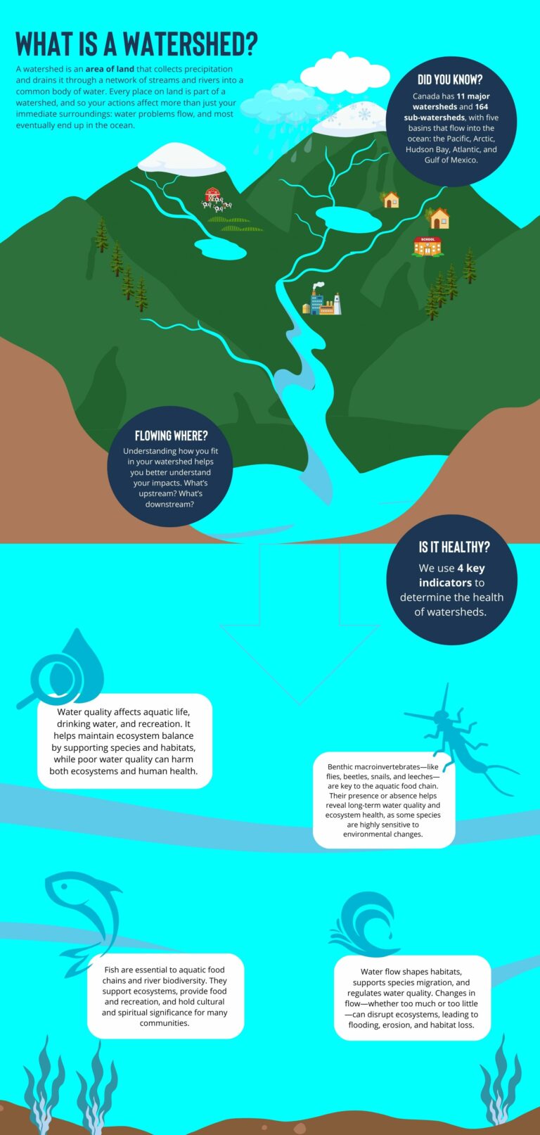 Understanding watersheds - The Watershed Reports